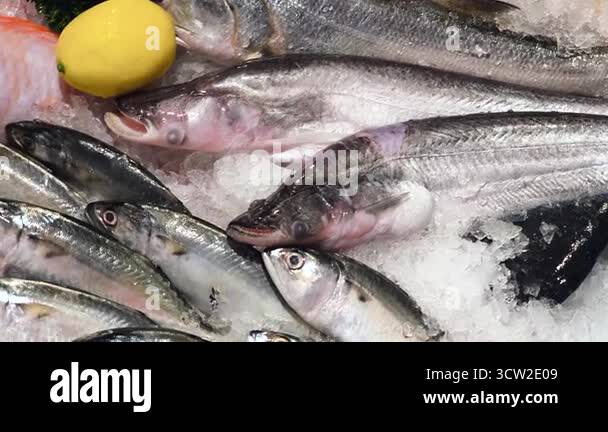Fresh fish on ice with scales and fins close-up for seafood market ...