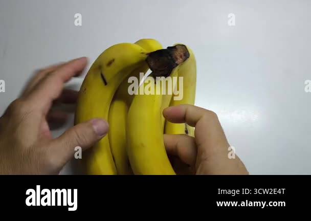 Pull the bananas out of the banana comb. A man's hands peeling a banana ...