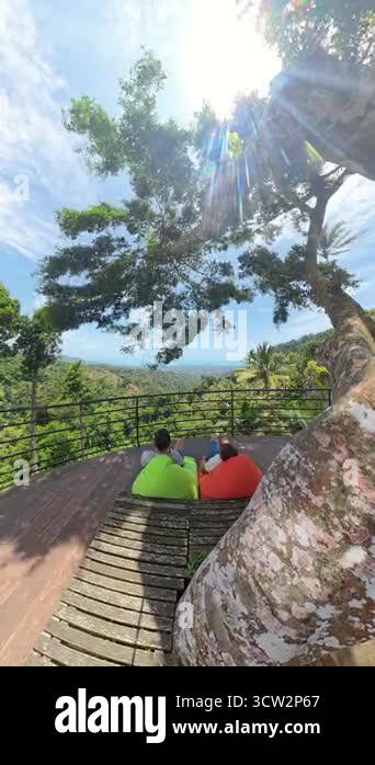 Vertical video. Man and Woman Sitting on a Wooden Bench Under Tree ...