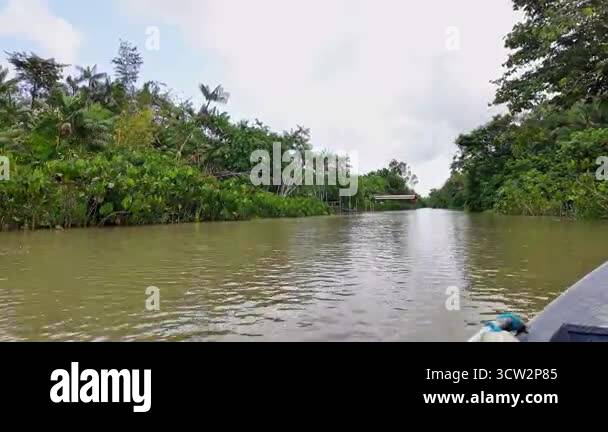 River boat tour on the Guama River at Belem do Para, a city on the ...