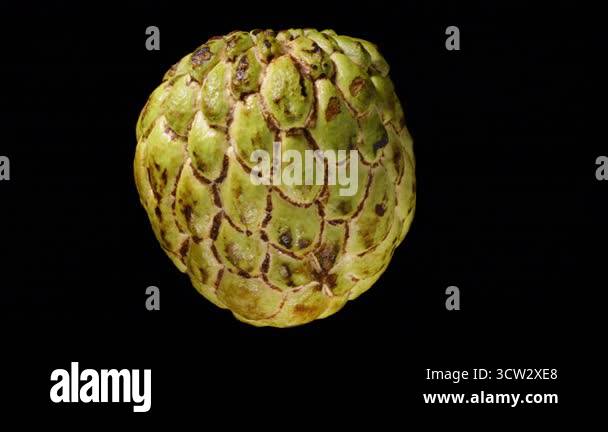 Cut Sugar Apple Rotating on Black Background Showing Creamy Flesh and ...