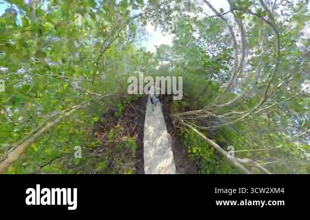 Narrow concrete walking trail Stock Videos & Footage - HD and 4K Video ...