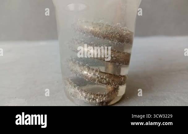 When water is heated to its boiling point, air bubbles form in the ...