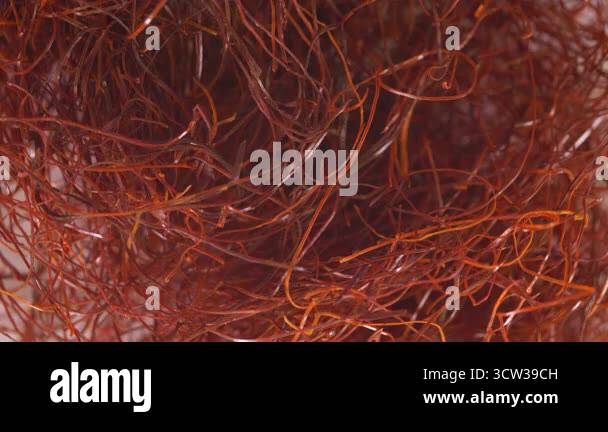 Close-up of dried chili threads, creating a vibrant and detailed ...