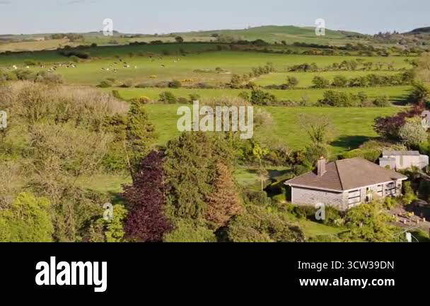 An Irish countryside landscape shows green fields, grazing cows, and a ...