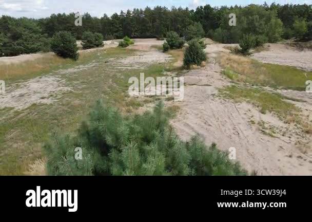 A drone takes off near a small pine tree and flies forward over a sandy ...