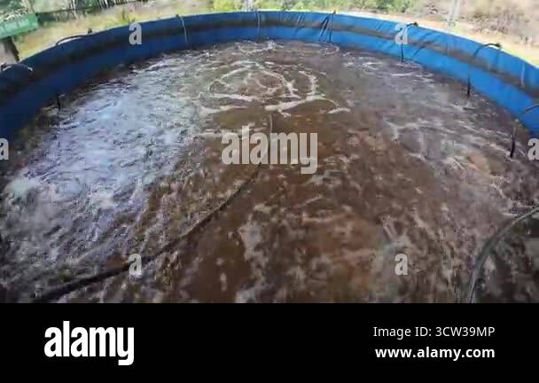 fish farming pond using biofloc system Stock Video Footage - Alamy