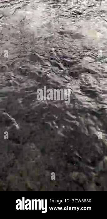 Clear Water Flow Animation - Natural Stream Surface Loop Stock Video ...