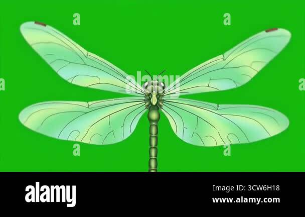 An animated illustration of a beautiful dragonfly hovering and flapping ...