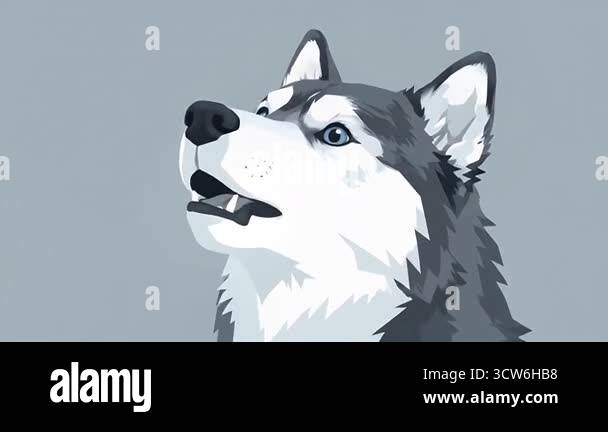 Wolf howling vector Stock Videos & Footage - HD and 4K Video Clips - Alamy