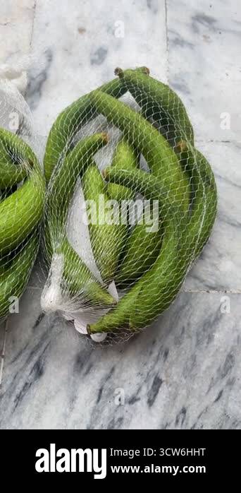 Close-up video clip of long green snake gourd vegetables in net ...
