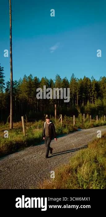 Man walking along gravel road by forest edge in sunny weather. Person ...