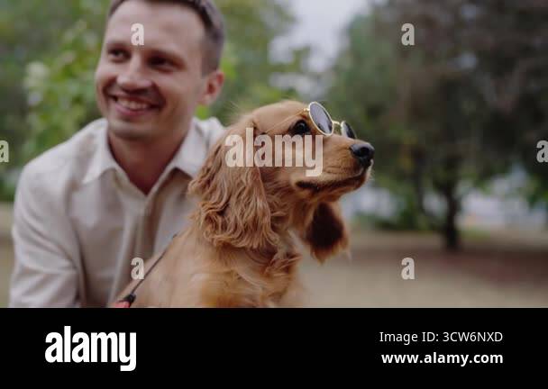 A man and his adorable Cocker Spaniel enjoy a sunny day at the park ...