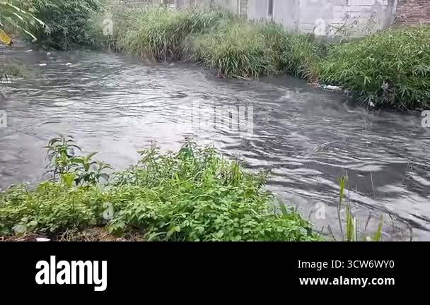 Strong current in the river, waters turned muddy after heavy rains in ...