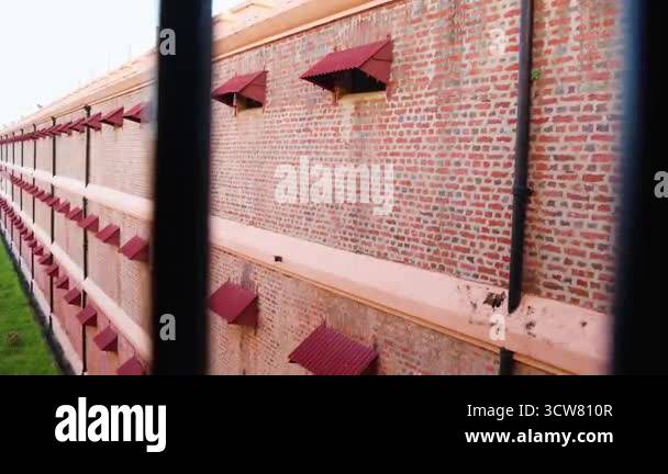 Historic cellular jail building Stock Videos & Footage - HD and 4K ...