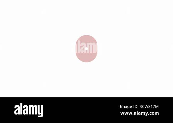 JPEG Animated Button Design, Button Converts into Loading Circle with ...