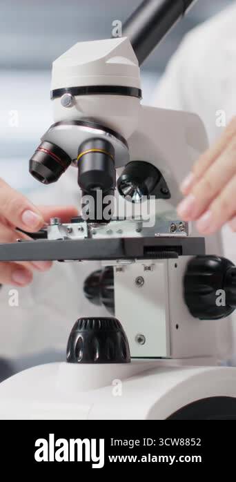 Vertical Video Male professional scientist investigates tray samples ...