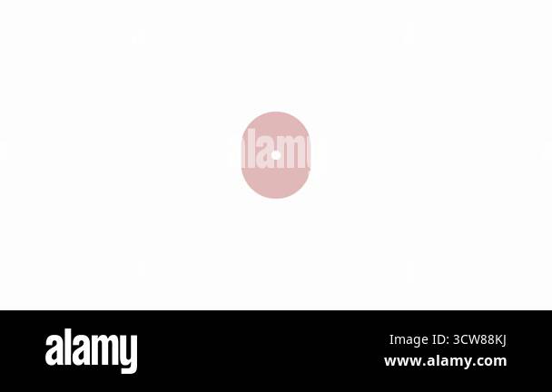 SNAP Animated Button Design, Button Converts into Loading Circle with ...