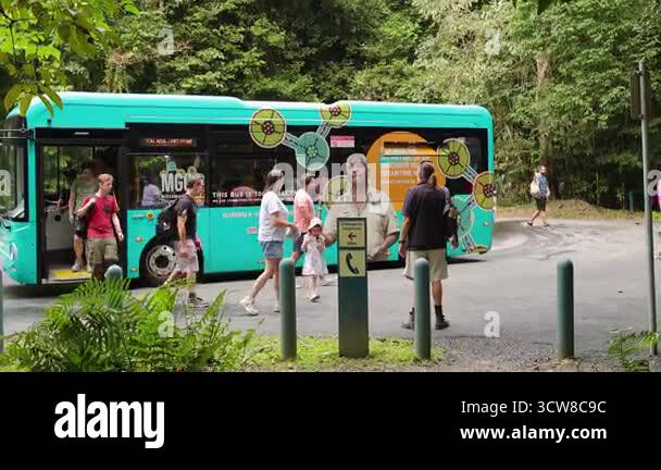 Tourists board a vibrant bus at Mossman Gorge carpark, surrounded by ...