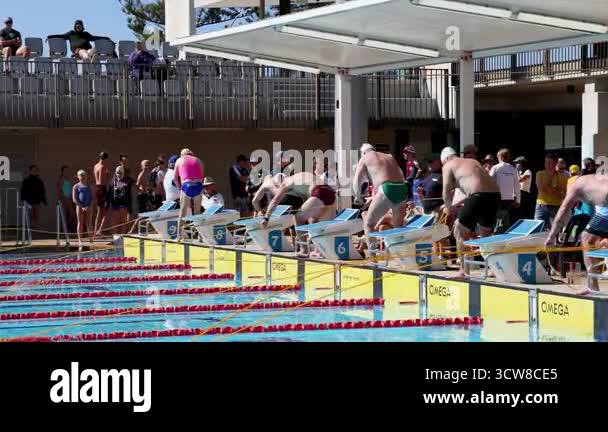 Multiple swimmers launch from starting blocks into a bright outdoor ...