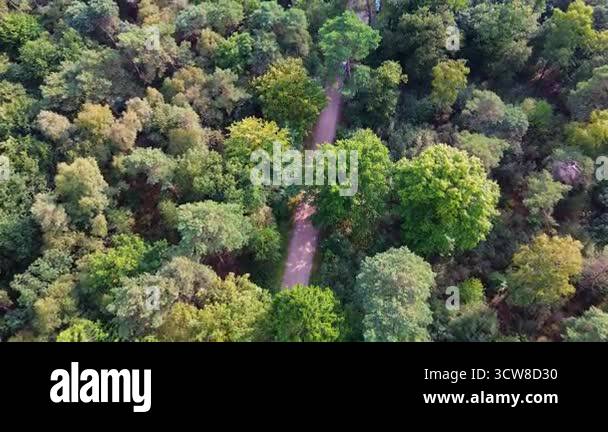 Aerial view of a forested area with two winding paved roads and sparse ...