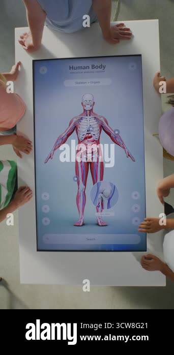 Close-up of Interactive Touchscreen in School Classroom. Young Students ...