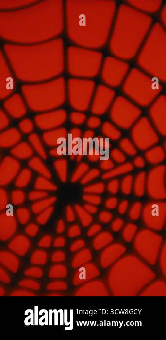 spiderweb on blood red background for Halloween. High quality 4k ...