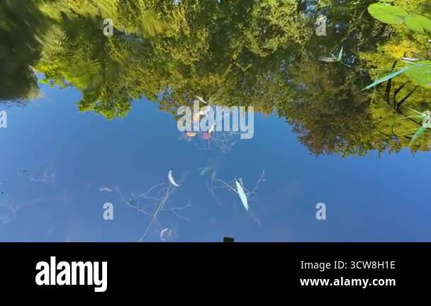 Surface pond reflecting sky Stock Videos & Footage - HD and 4K Video ...