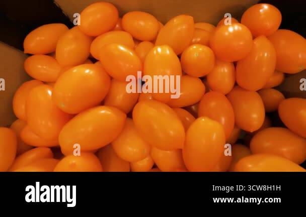 Yellow tomatoes in cardboard boxes at the supermarket Stock Video ...