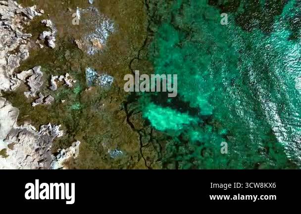 Formentera seabed with vibrant turquoise water and underwater Posidonia ...