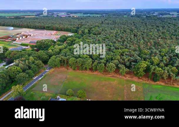 Green landscape edge forest in Stock Videos & Footage - HD and 4K Video ...
