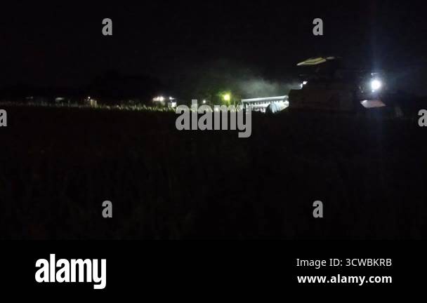 Rice harvesting at night using modern combine harvester, glowing ...