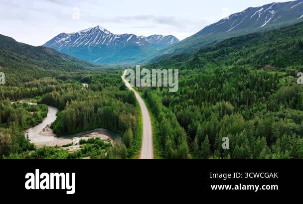 Lush pine tree woods growing in the valley crossed by the highway and ...