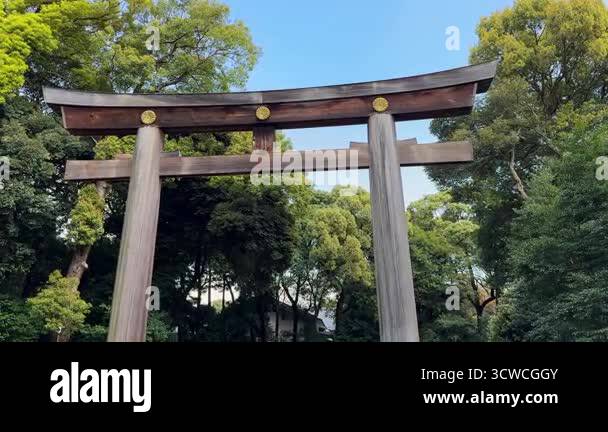 Traditional Japanese torii gate in a serene forest setting. This iconic ...