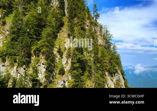 Steep rock cliff with green forest in the Carpathian Mountains ...