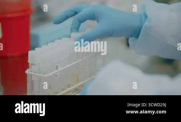 Close-up of a laboratory worker examining and analyzing test tubes ...