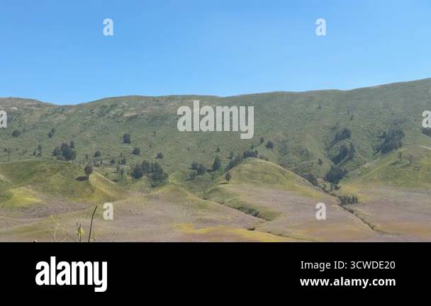 4k footage of mountain valley savannah with colorful vegetation, flower ...