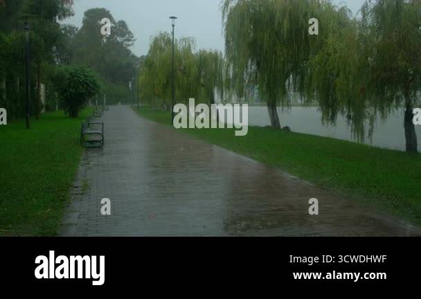 Rain falling on empty benches and pathway in green park with pond ...