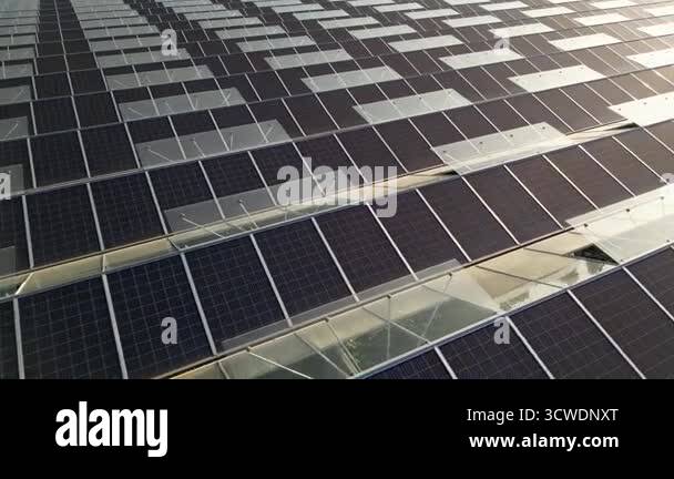 Modern greenhouse designed for growing fresh vegetables, equipped with ...
