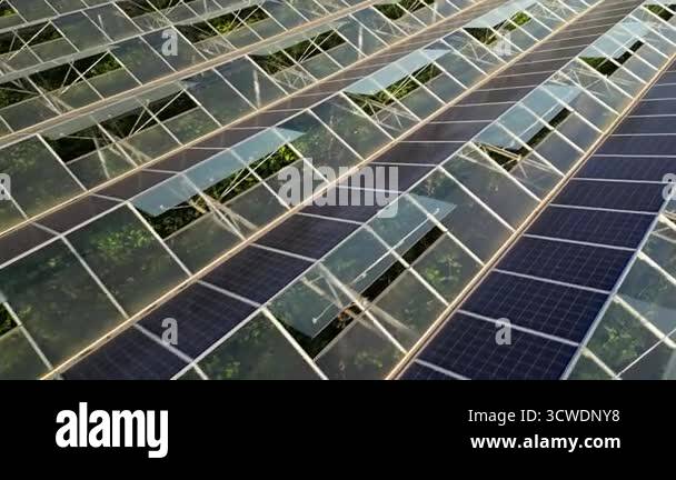 Modern greenhouse designed for growing fresh vegetables, equipped with ...