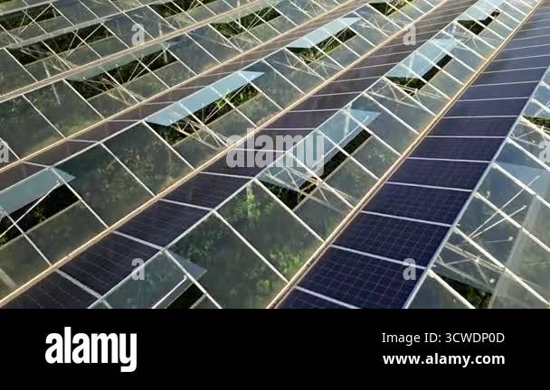 Modern greenhouse designed for growing fresh vegetables, equipped with ...