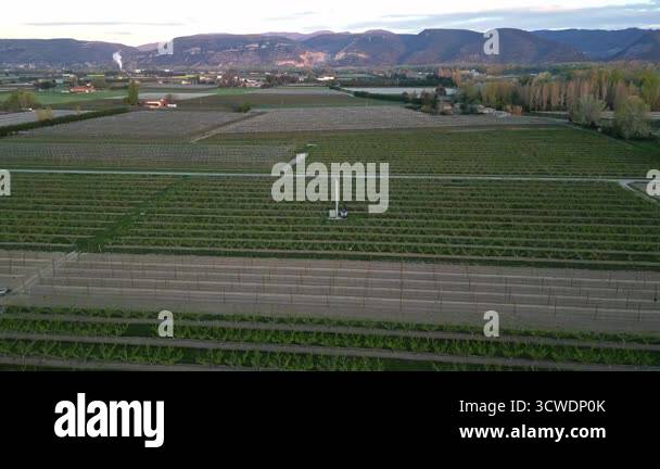 Frost protection fan in agricultural field at cold morning sunrise ...