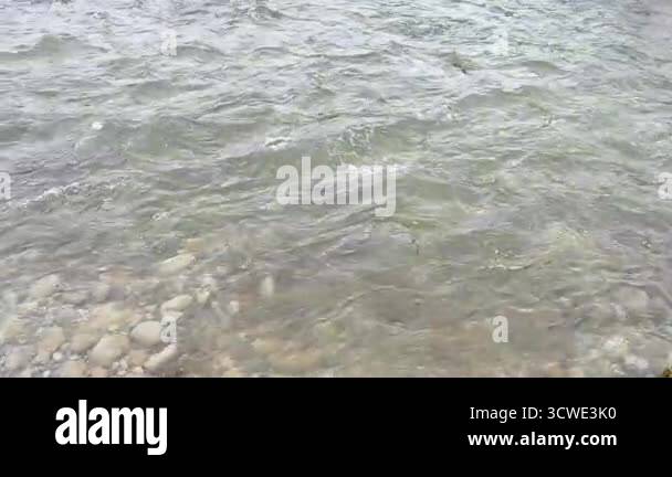 Shallow, clear river water flows steadily over a bed of smooth stones ...