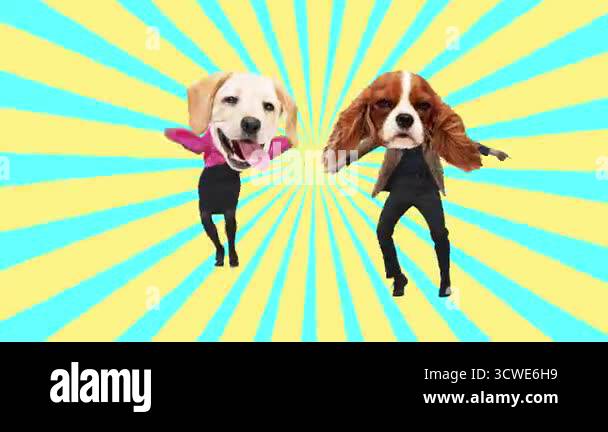 Stop motion animation. Dancing duo with dog heads on yellow and blue ...