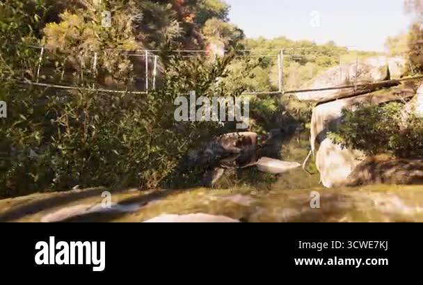 A bridge over a forest with moss growing on the rocks. The moss is ...