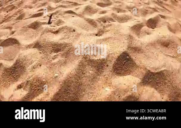 Grains of sand shift and settle, showcasing the dynamic movement and ...