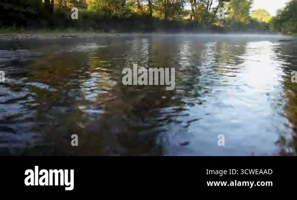 A river with a calm, clear water in a forest.. The water is reflecting ...