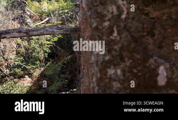 A destroyed house with a collapsed roof and broken windows. The ...