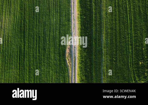 Dirt road with tire tracks and agricultural field view from above ...