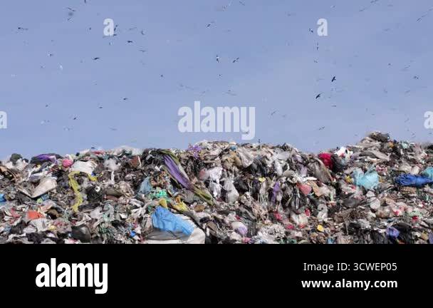 Landfills overflow with garbage, highlighting the urgent need for waste ...